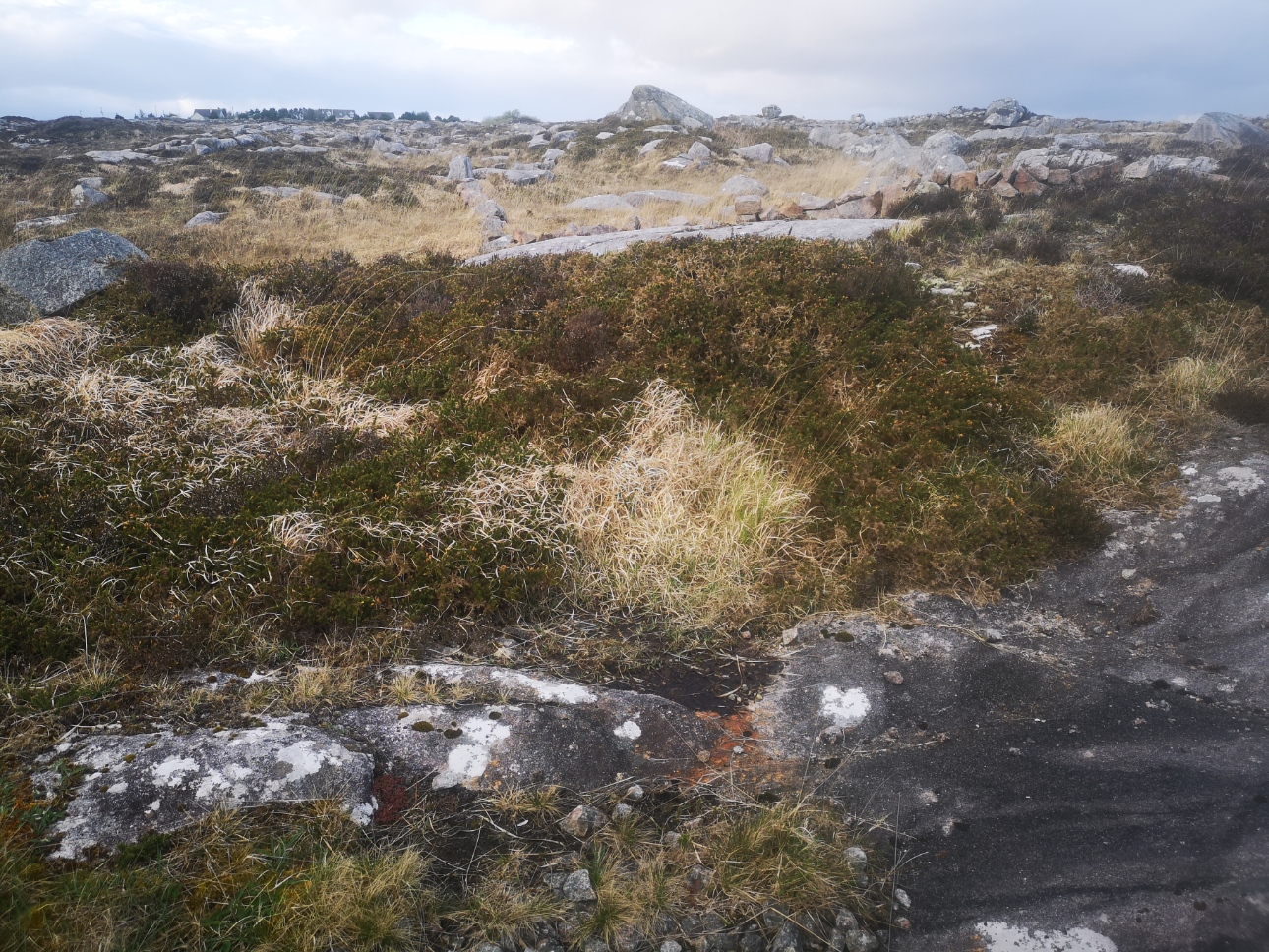 Wandering in Ceathrú Rua, Conamara – Bóithríní, ballaí agus bláthanna ...