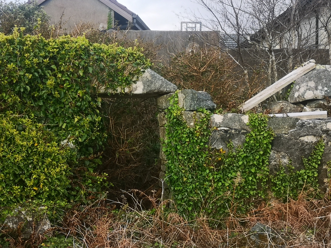 Wandering in Ceathrú Rua, Conamara – Bóithríní, ballaí agus bláthanna ...